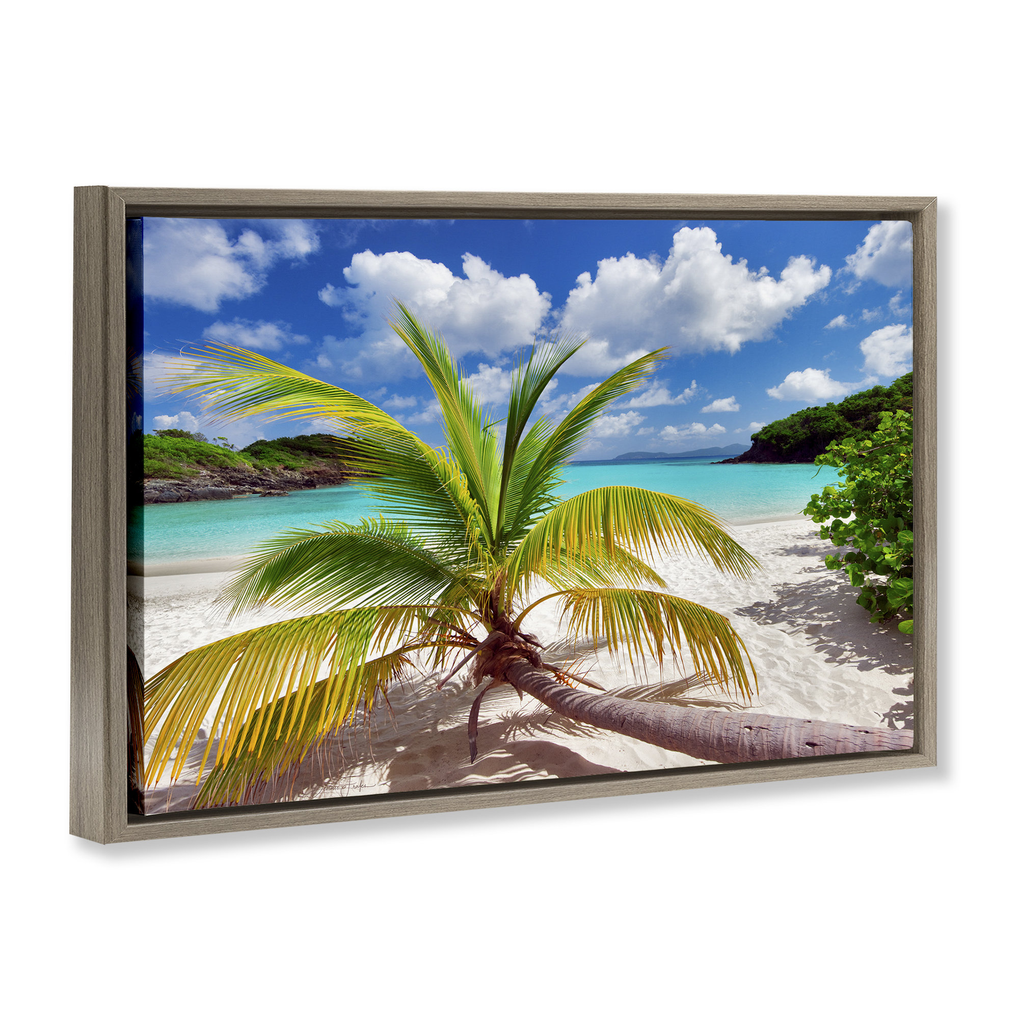 Beachcrest Home™ Palm Tree Across Beach Framed Floater Canvas by Dennis ...
