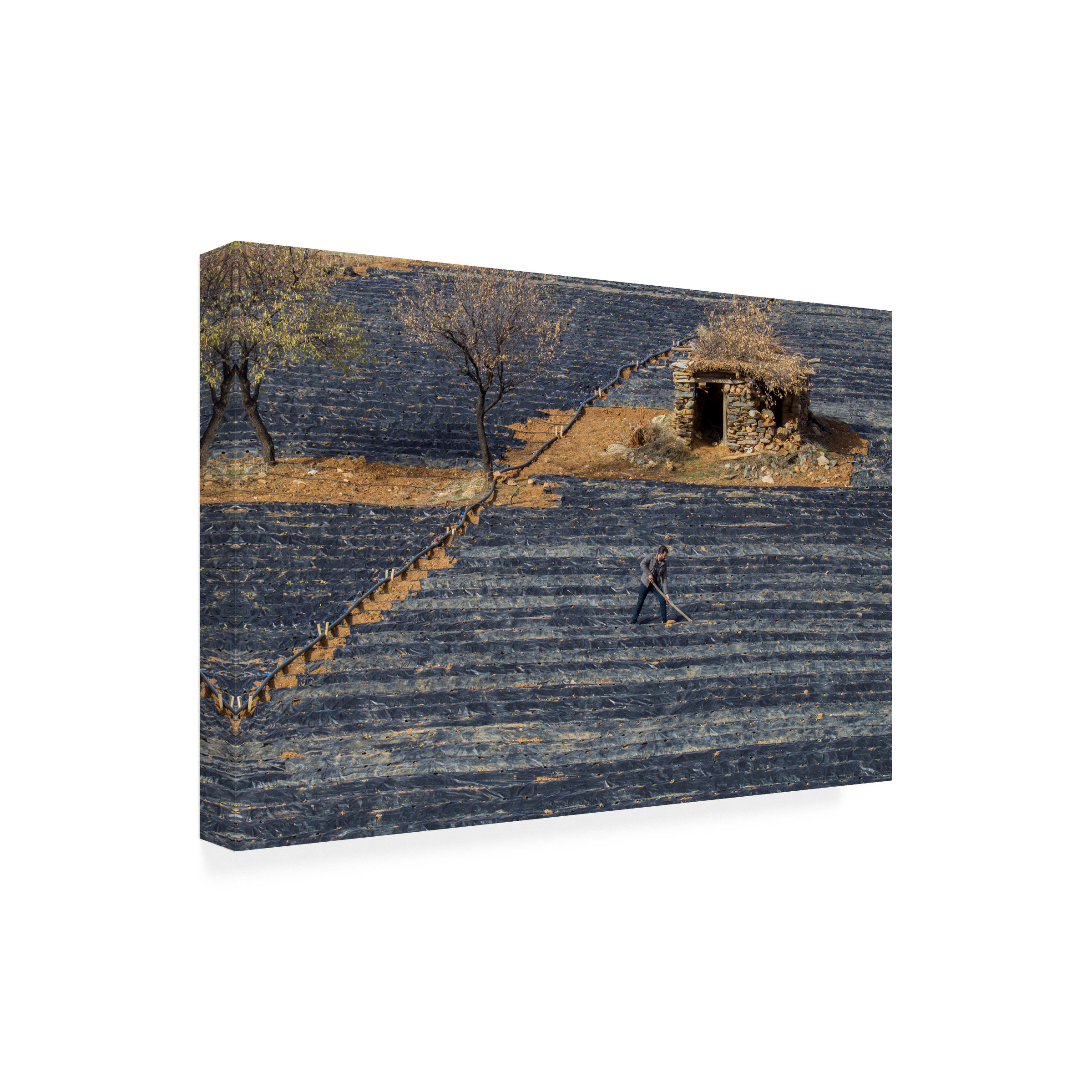 Ebern Designs Bolog Murat OZEL Agriculture Canvas Art | Wayfair