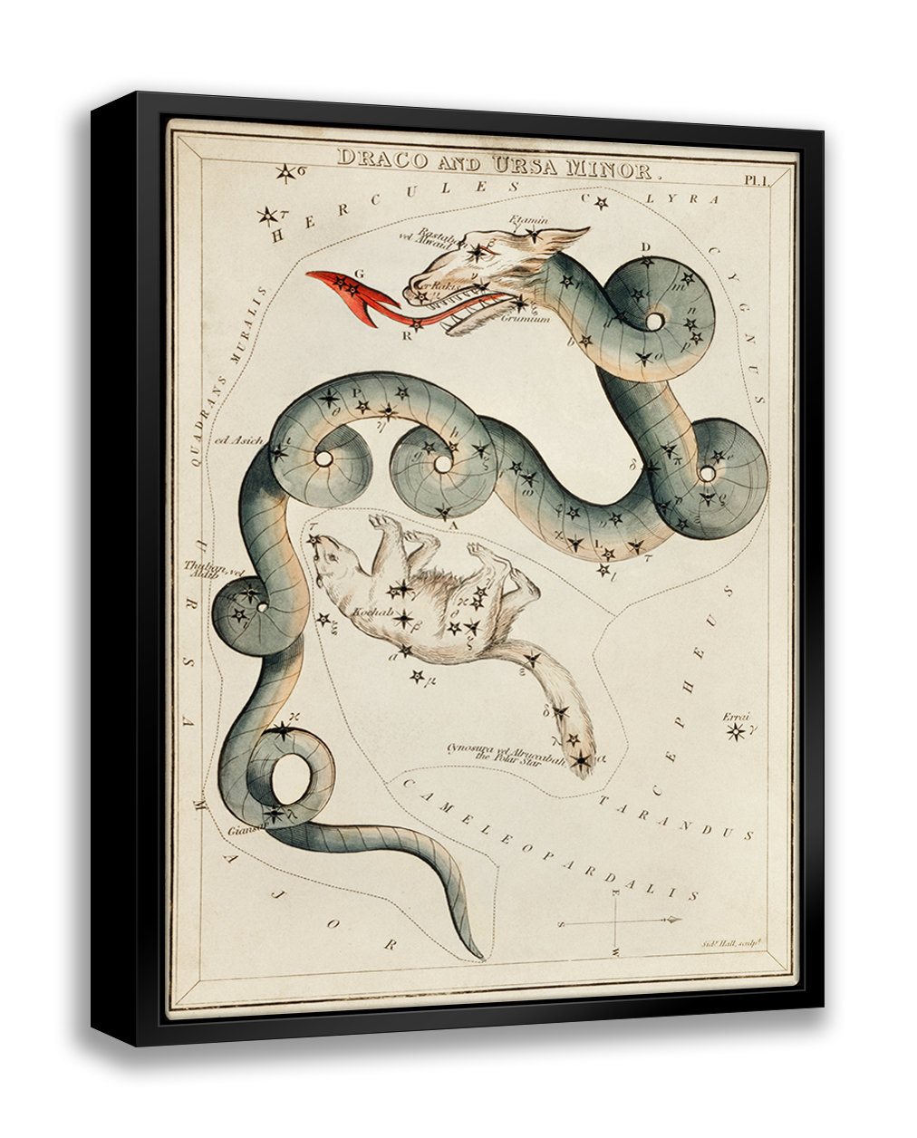 ATX Art Group LLC Astronomical Chart Illustration Of The Draco And The ...