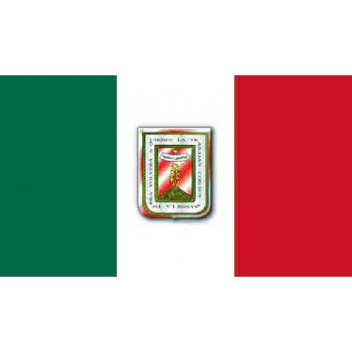 NeoPlex Reme Double Sided 36'' H x 60'' W Polyester House Flag | Wayfair