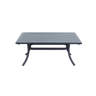Lark Manor™ Courtyard Casual Santa Fe Alum Coffee Table with slat top ...