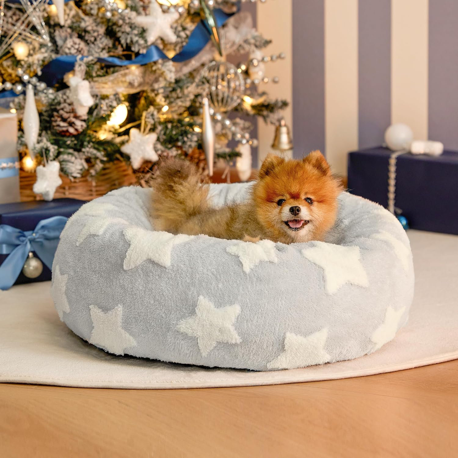 Tucker Murphy Pet™ Small Dog Bed - Round Cat Beds For Indoor Cats Anti ...
