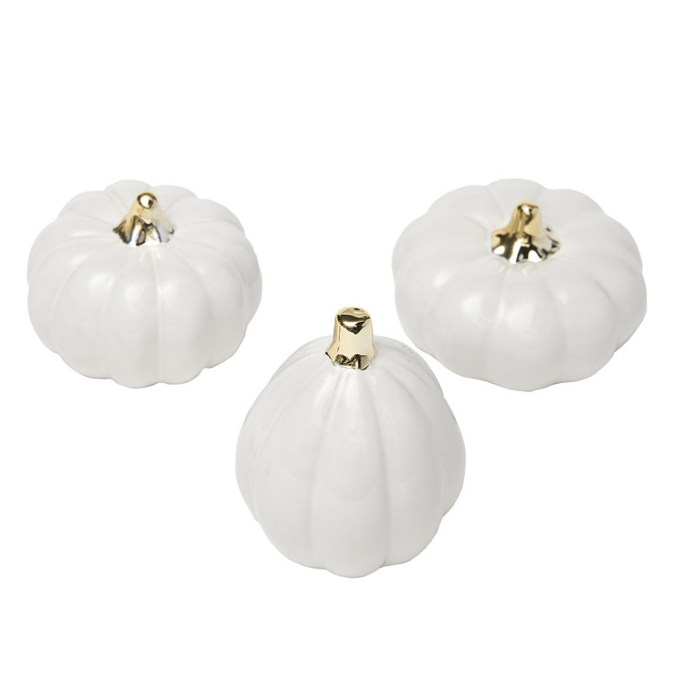 Style Me Pretty Ceramic Pumpkins Set Of 3 & Reviews | Wayfair