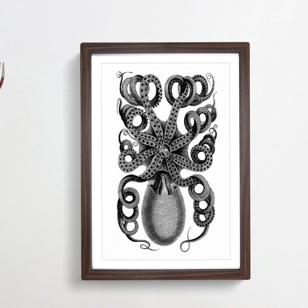 East Urban Home Rear of an Octopus in Black & White by George Shaw ...