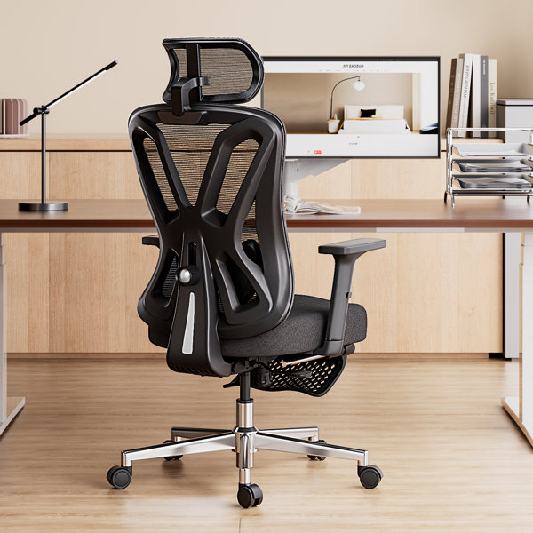 Inbox Zero Lawryn Hbada P5 Ergonomic Office Chair with Spring Cushion ...