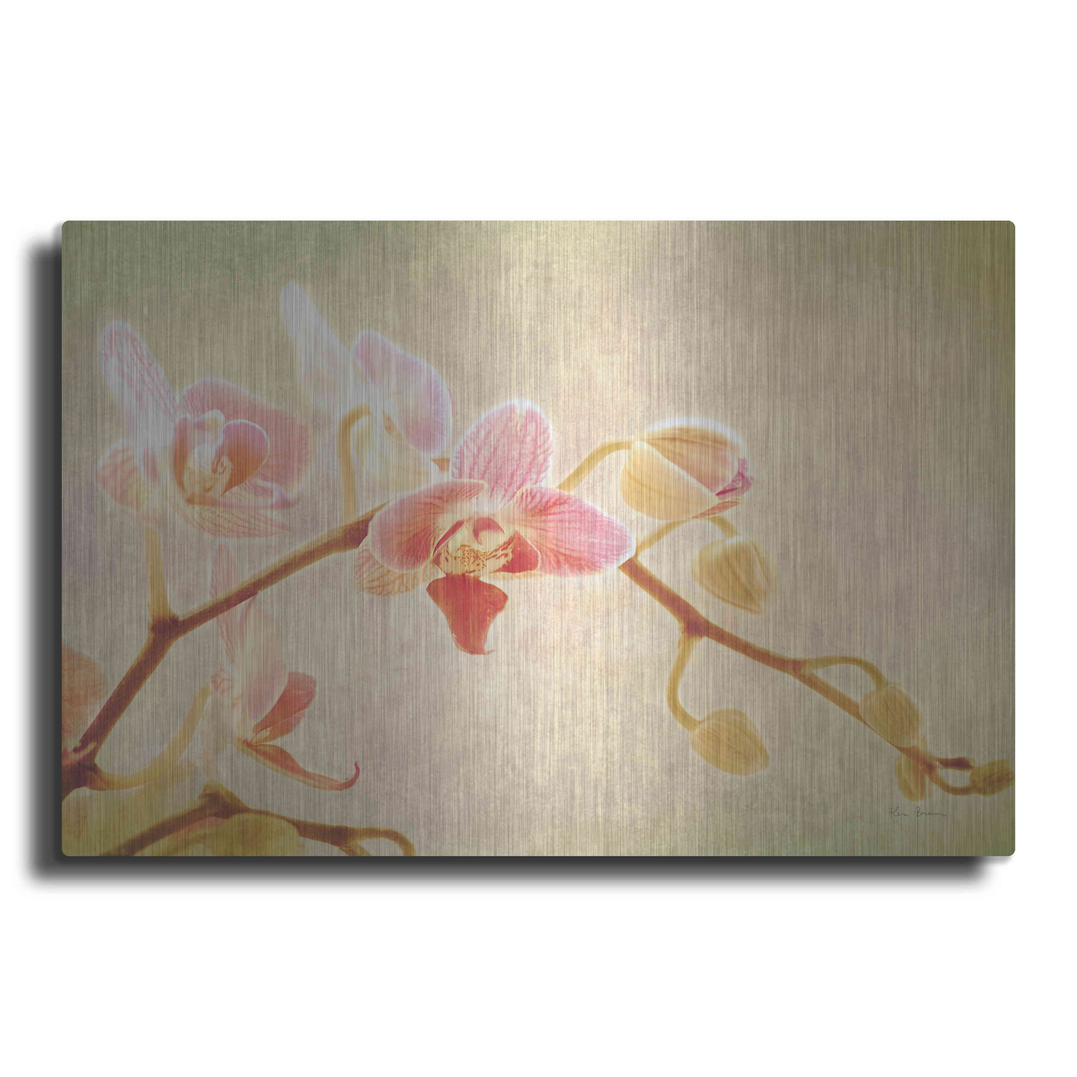 Red Barrel Studio® Perfume by Keri Bevan - Unframed Print on Metal ...