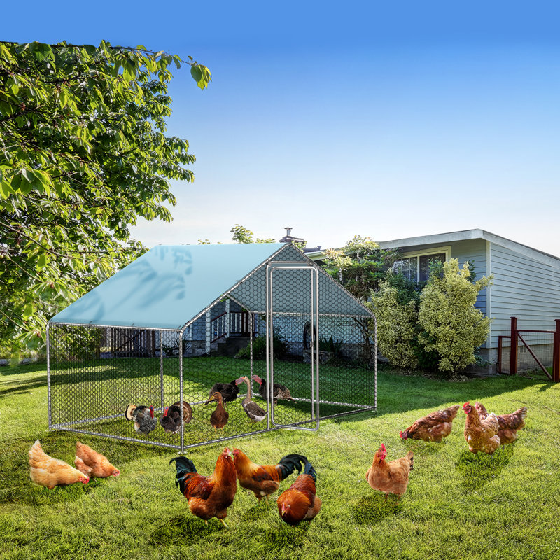 Tucker Murphy Pet™ Dayson Metal Chicken Run Coop, Walk-in Poultry Cage ...