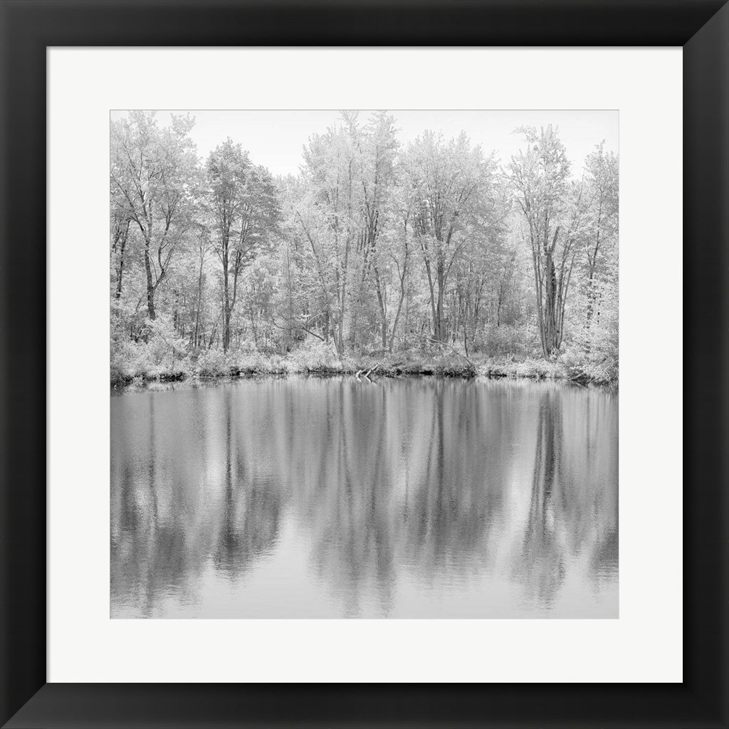 Red Barrel Studio® Tree Reflections By Chip Forelli, Framed Wall Art ...