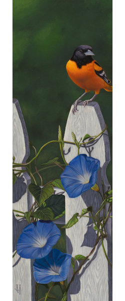 Bless international Oriole & Morning Glories by Jeffrey Hoff | Wayfair