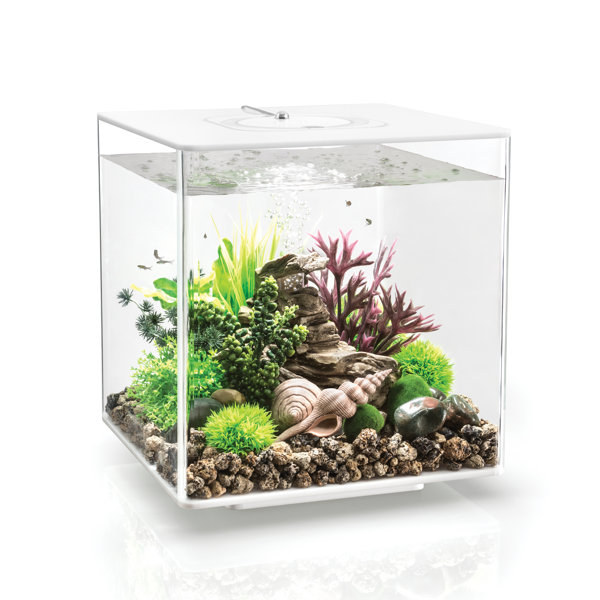 biOrb 8 Gallon Square Aquarium Tank with MCR Light | Wayfair