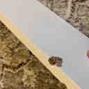 Latitude Run® Burdue Yak About It Mini Fridge Dorm Station & Reviews ...