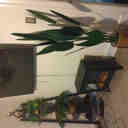 Zipcode Design™ Azariah 5-Tier Iron Corner Shelf, Freestanding Ladder ...