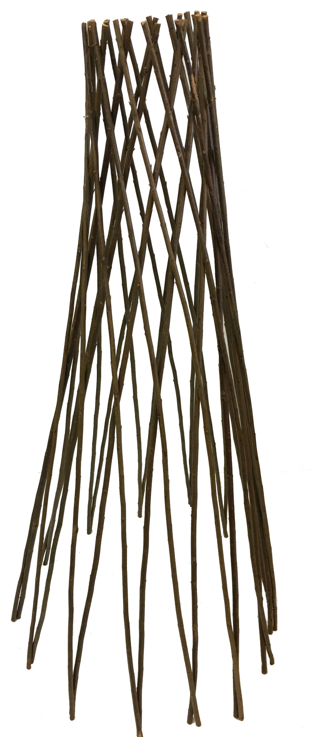 MGP Willow Round Tepee Trellis 72"h & Reviews | Wayfair