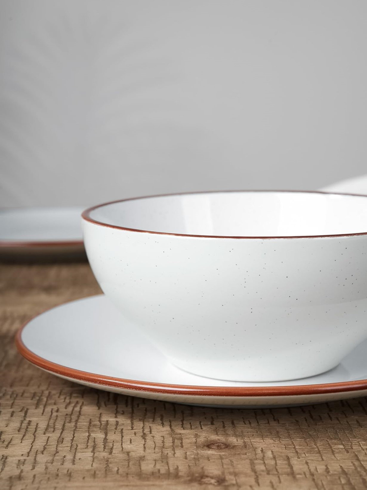 Ebern Designs Venus Ceramic Plates And Bowls Sets Speckled Dinnerware ...