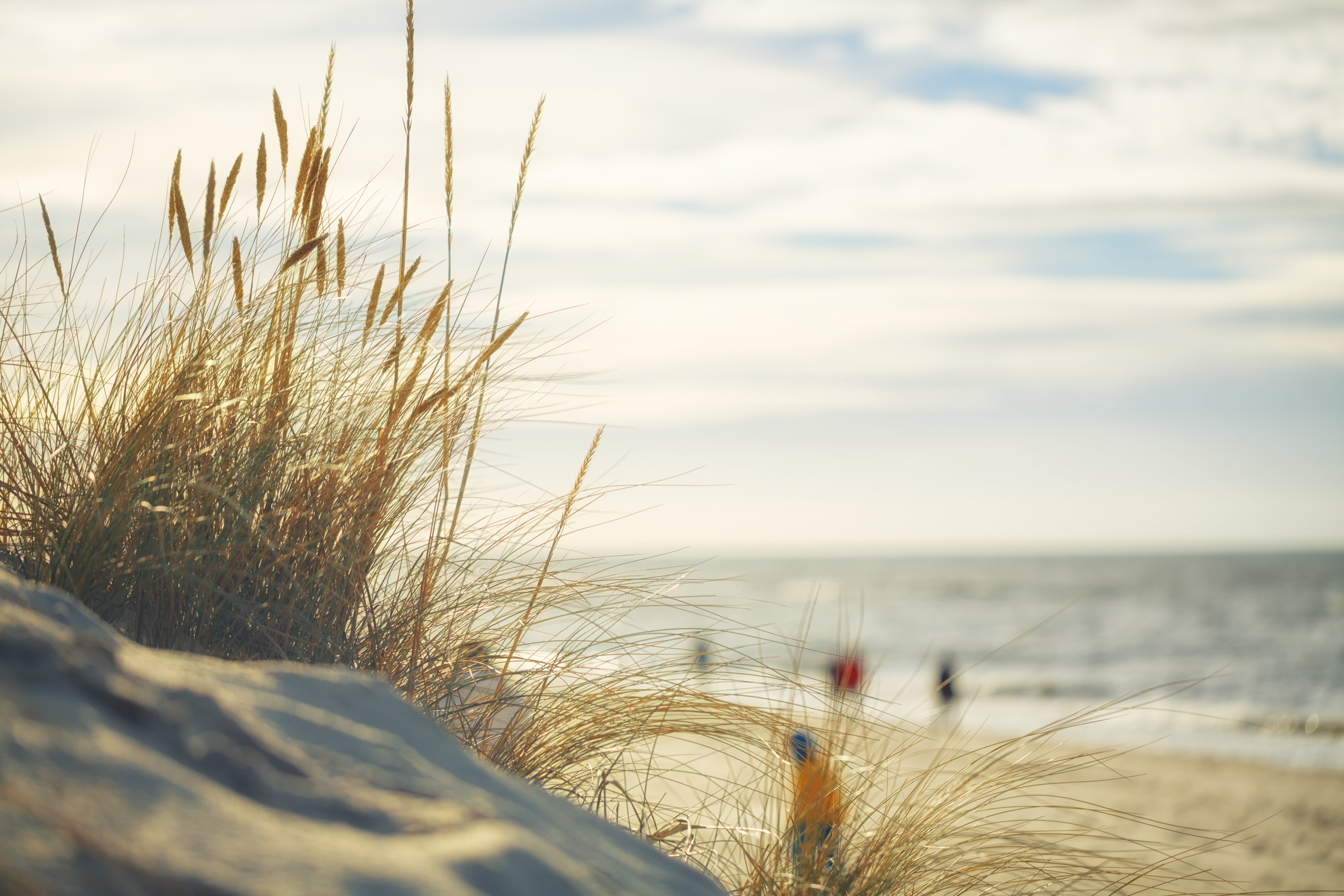 Highland Dunes Day at the Ocean by Rike_ | Wayfair