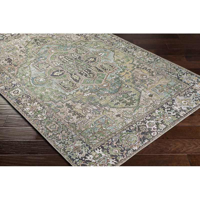 Mistana™ Albion Performance Rug & Reviews | Wayfair