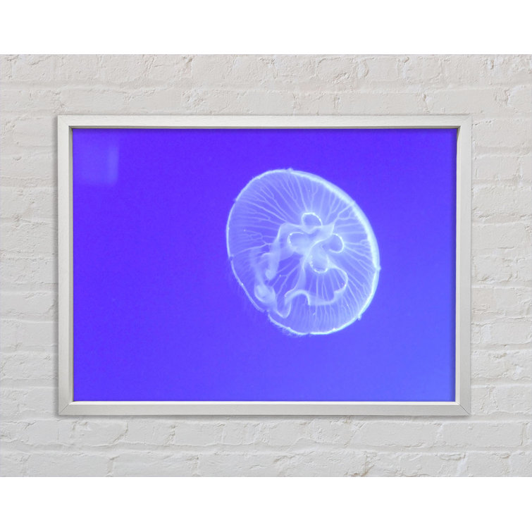 Bright Star Horniman Jellyfish - Single Picture Frame Art Prints on ...