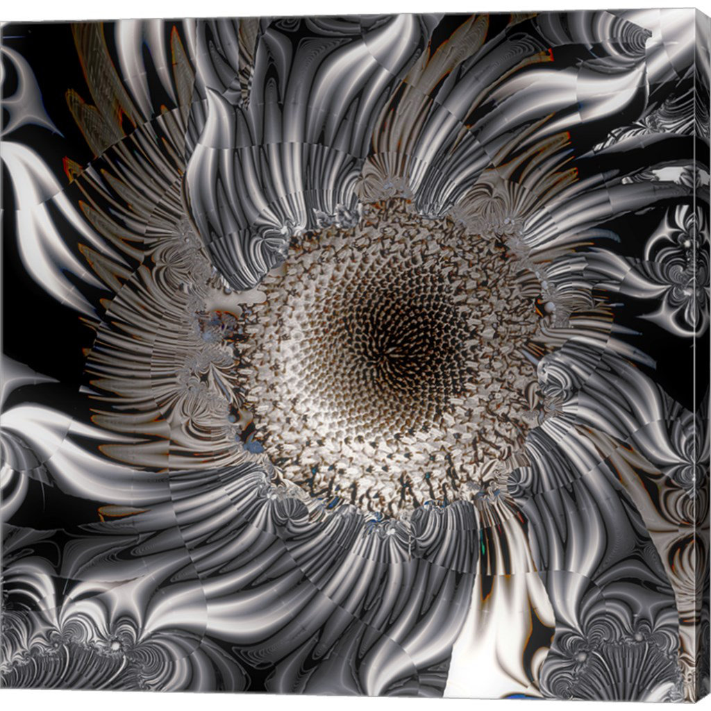 Orren Ellis Seeds From The Sun By Mindy Sommers, Canvas Wall Art | Wayfair