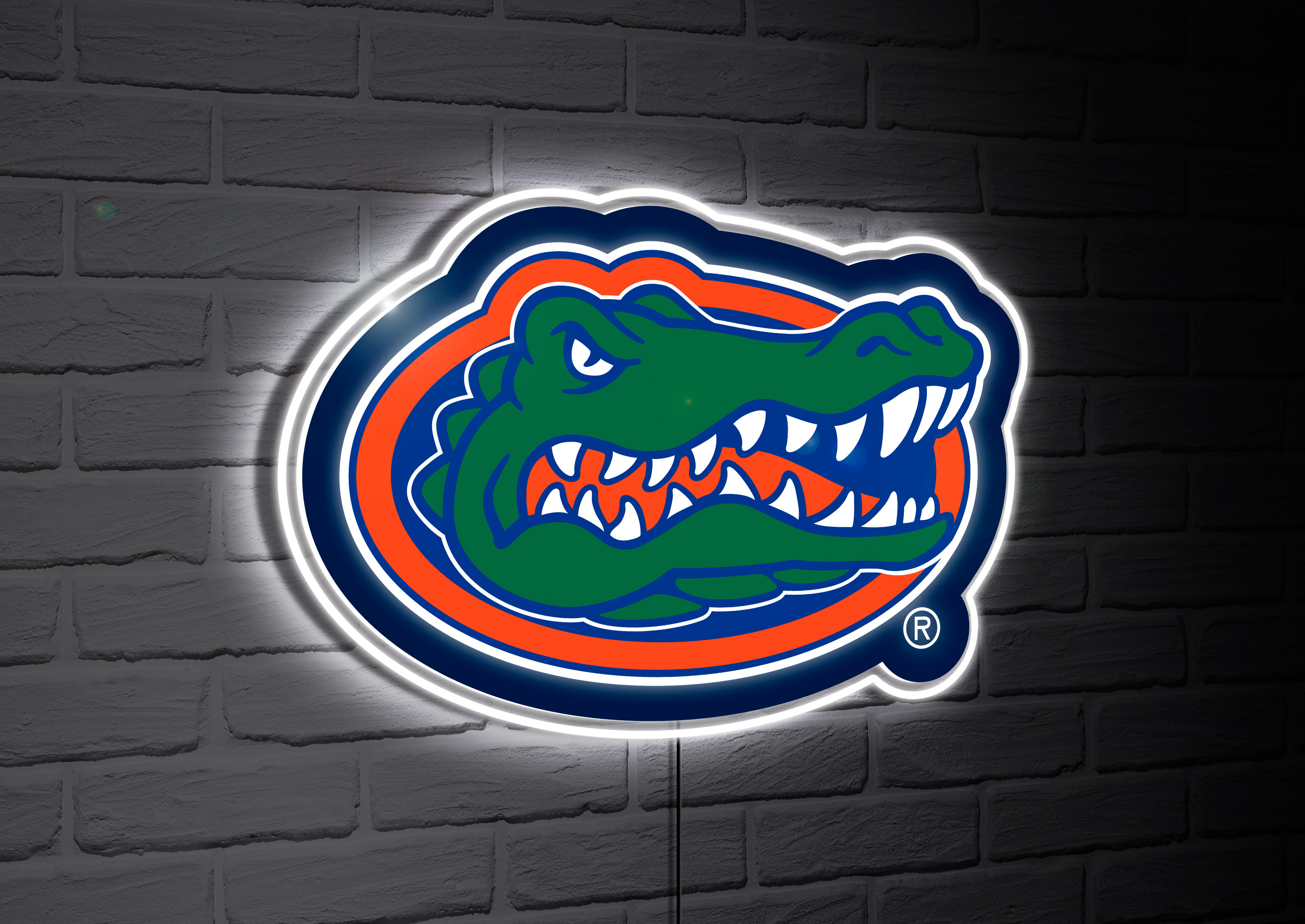 Evergreen Enterprises, Inc NCAA Team Logo Shaped LED Lighted Wall Sign ...