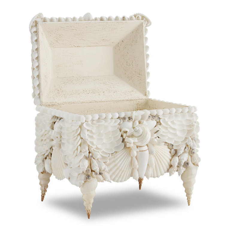 Currey & Company Boardwalk Shell Jewelry Box | Perigold