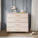 Canora Grey Azwa Metal Rectangle Storage Unit Accent Chest | Wayfair.co.uk