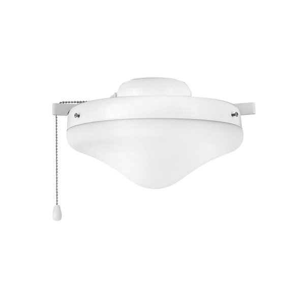 Hinkley Lighting Glass Ceiling Fan Light Kit | Wayfair