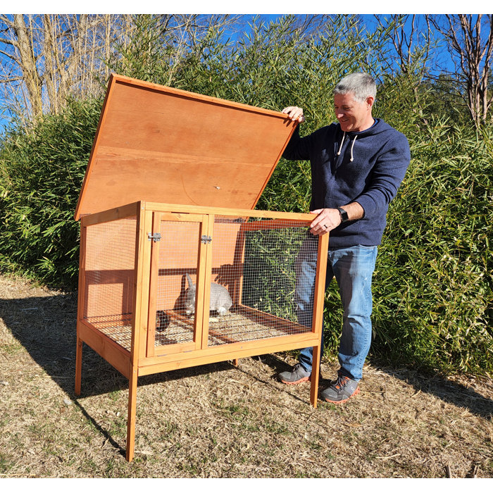Tucker Murphy Pet™ Averhoff Weather Resistant Rabbit Portable Hutch ...