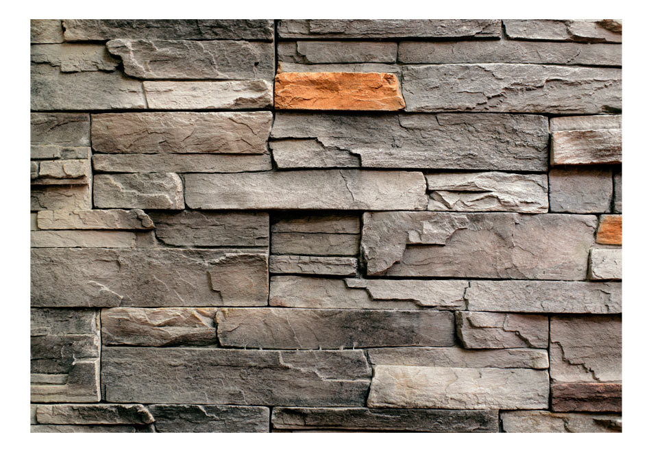 17 Stories Smooth Wall Mural | Wayfair