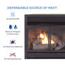 Duluth Forge Dual Fuel Ventless Gas Fireplace Insert - 32,000 BTU ...