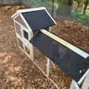 Tucker Murphy Pet™ Garvin Chicken Run & Reviews | Wayfair