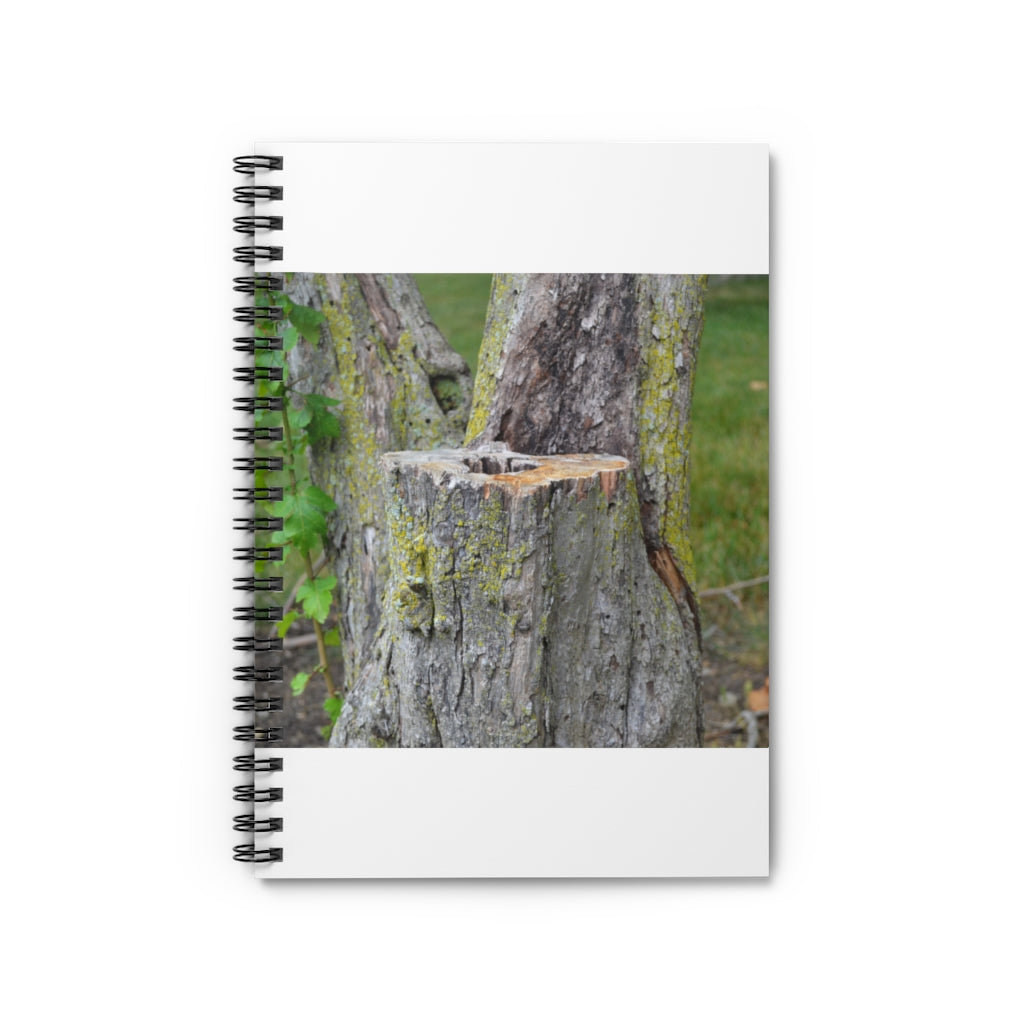 Marick Booster Tree Stump Spiral Notebook - Ruled Line - Wayfair Canada