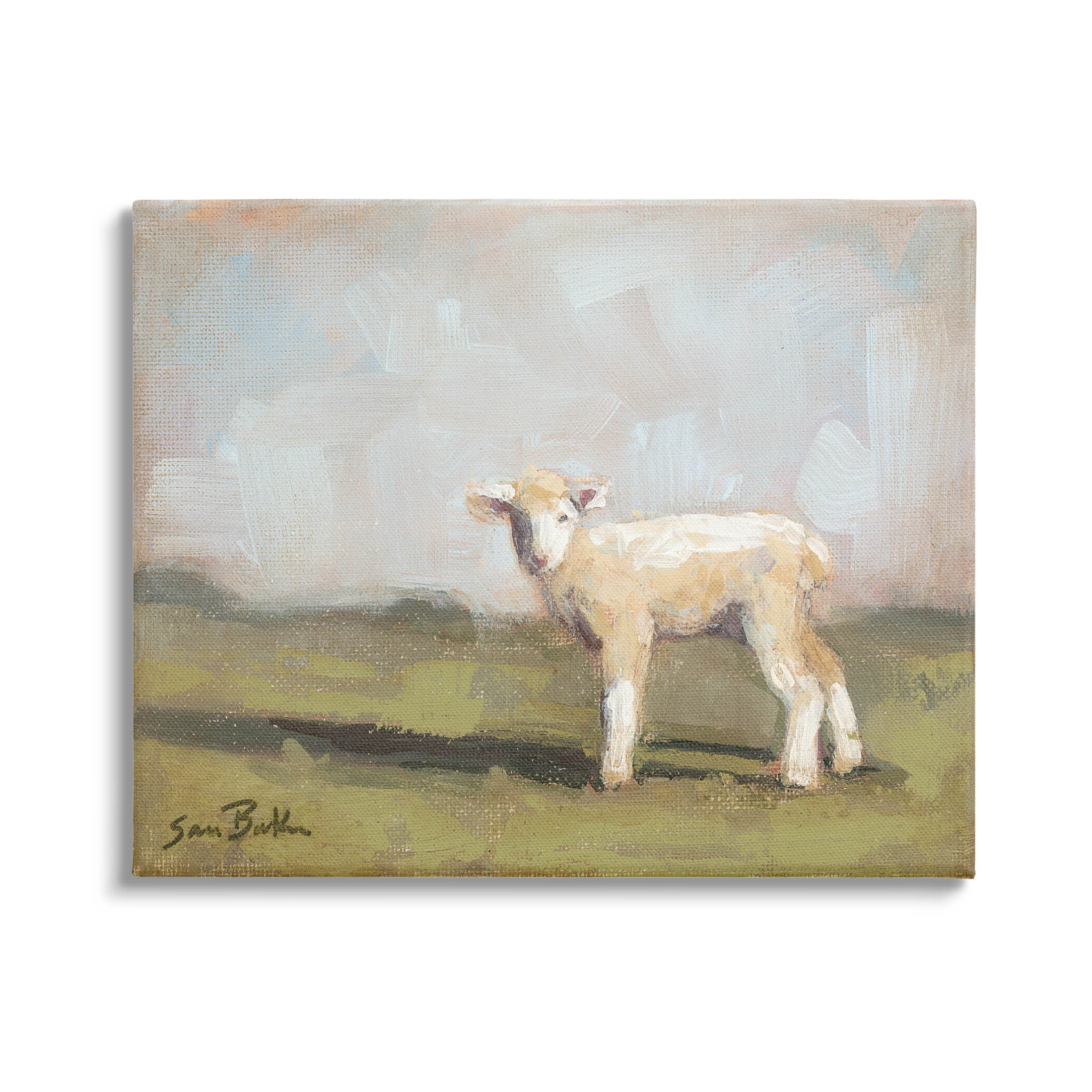 Stupell Industries Baby Lamb Farmland Animal Canvas Wall Art By Sara ...