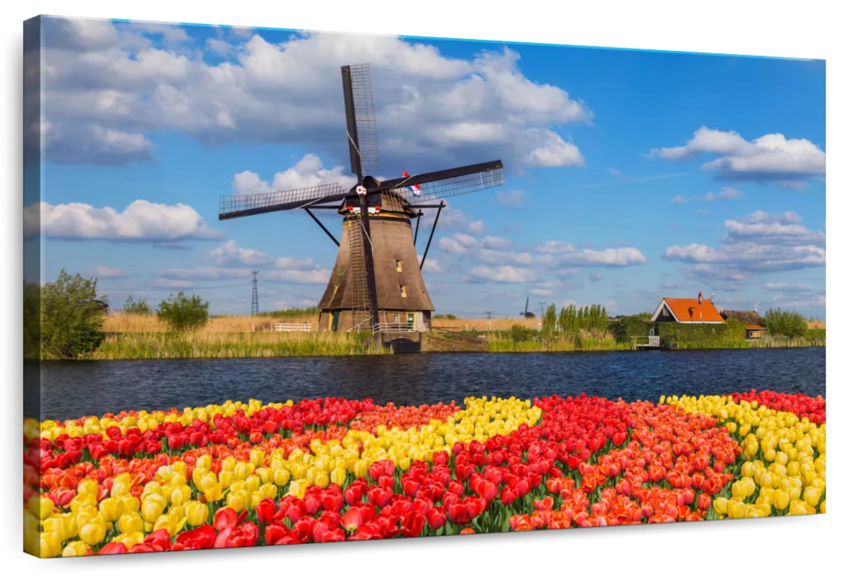 Elephant Stock Tulips And Dutch Windmill | Wayfair