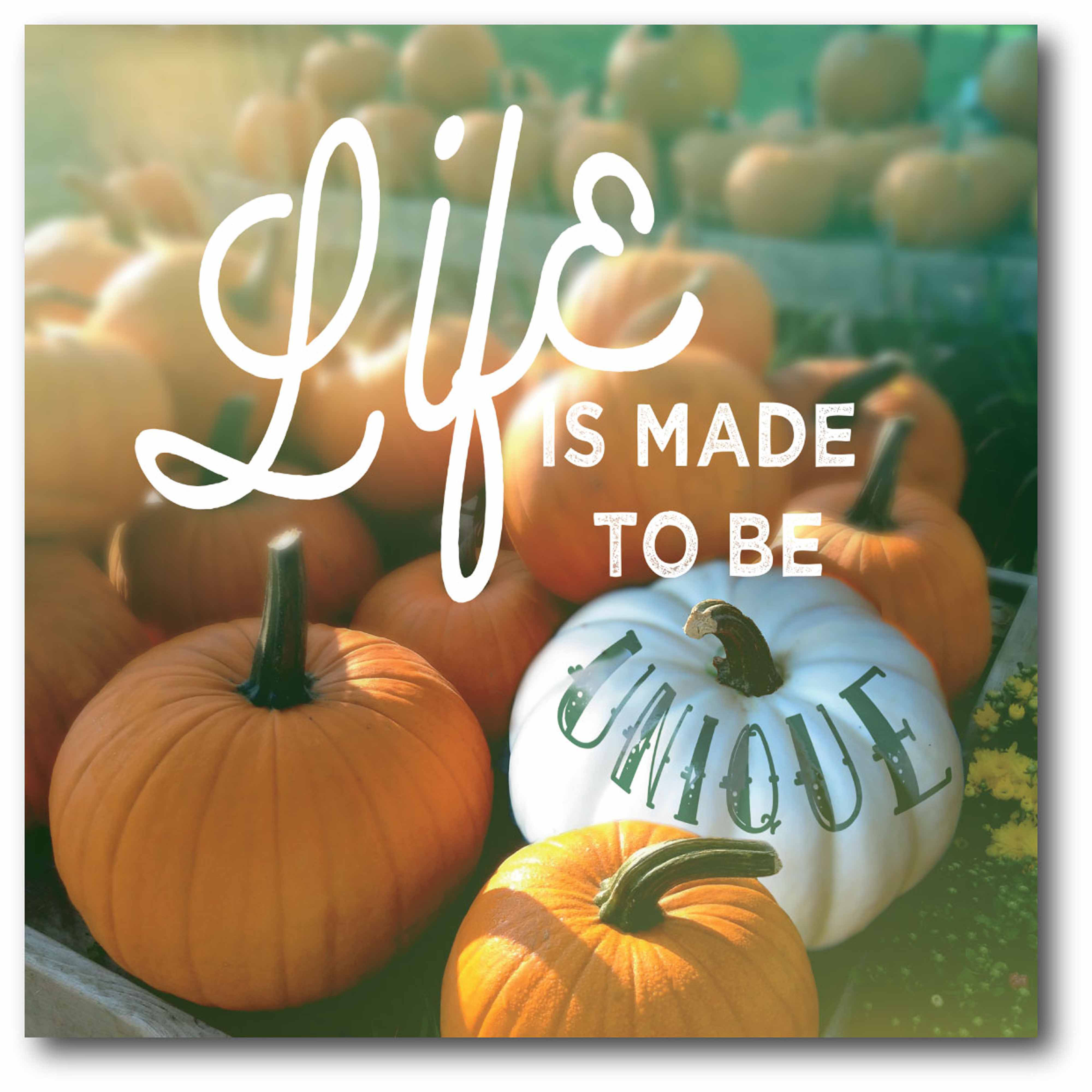 Winston Porter 'Life Is Unique' Graphic Art Print on Canvas - Wayfair ...