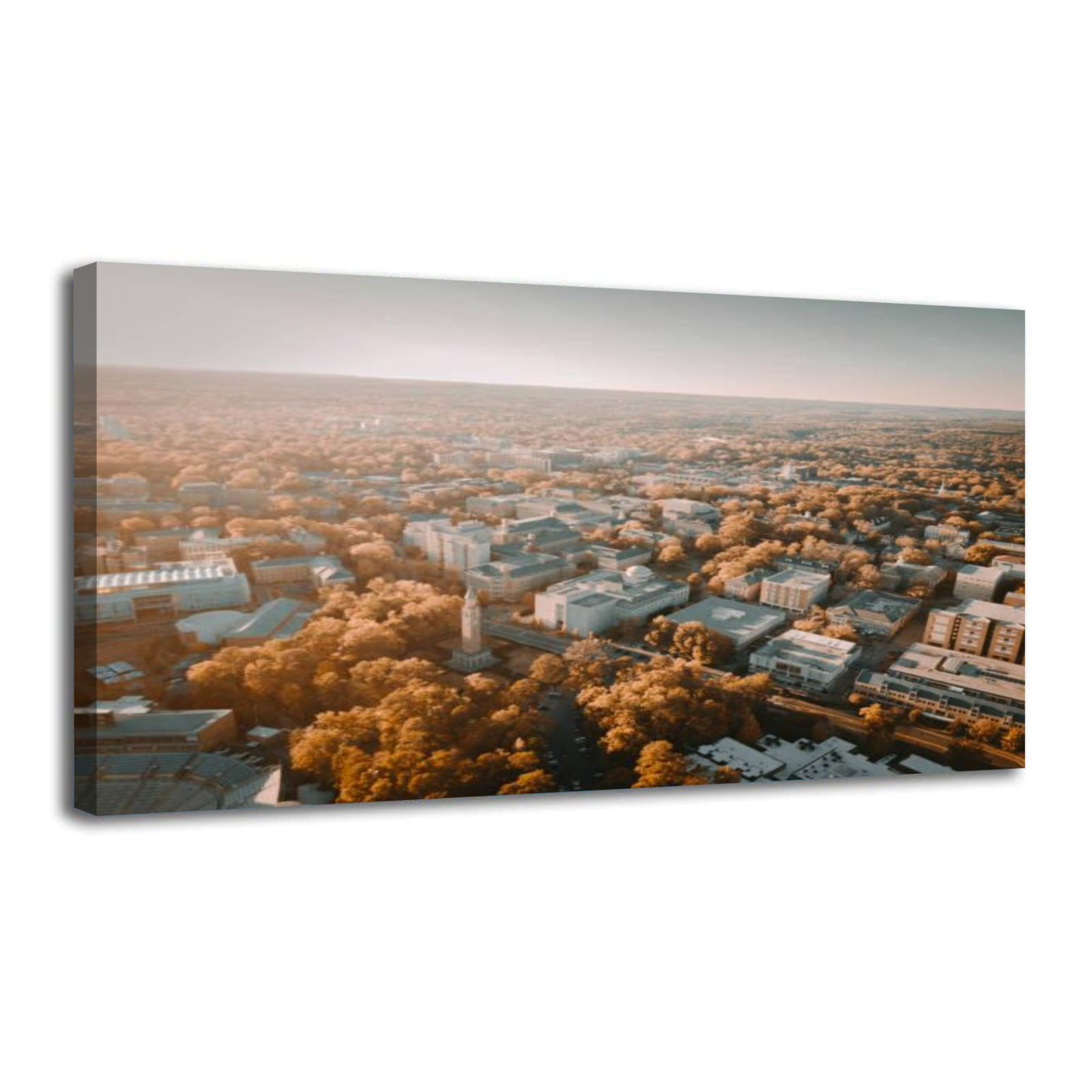 Latitude Run® Canvas Wall Art aerial shot unc campus aerial photography ...