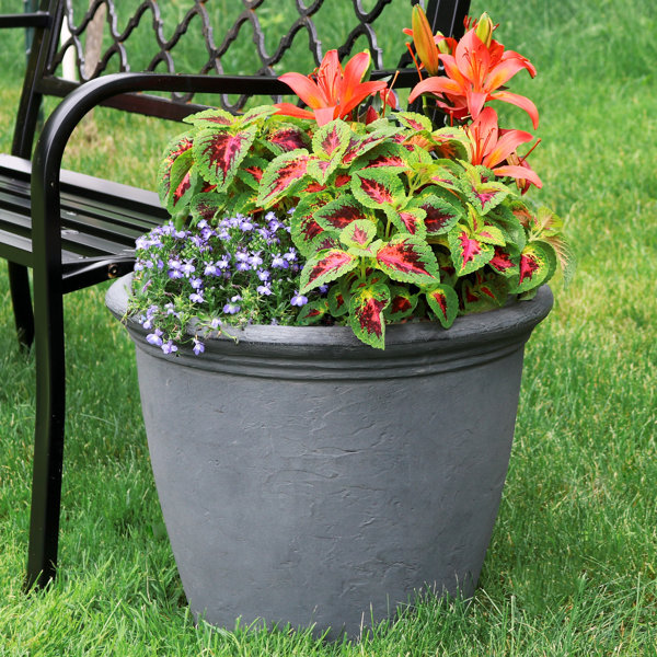 Kelly Clarkson Home Kristie Round Polyresin Outdoor Planter Pot with a ...