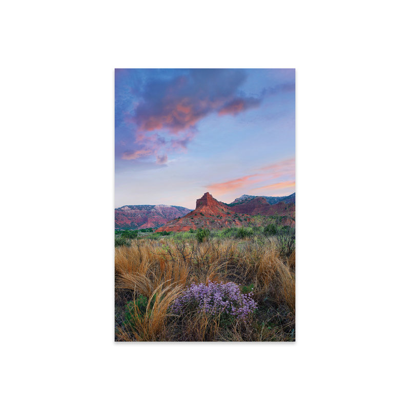 Millwood Pines Arlayne Caprock Canyons State Park, Texas - Vertical On ...