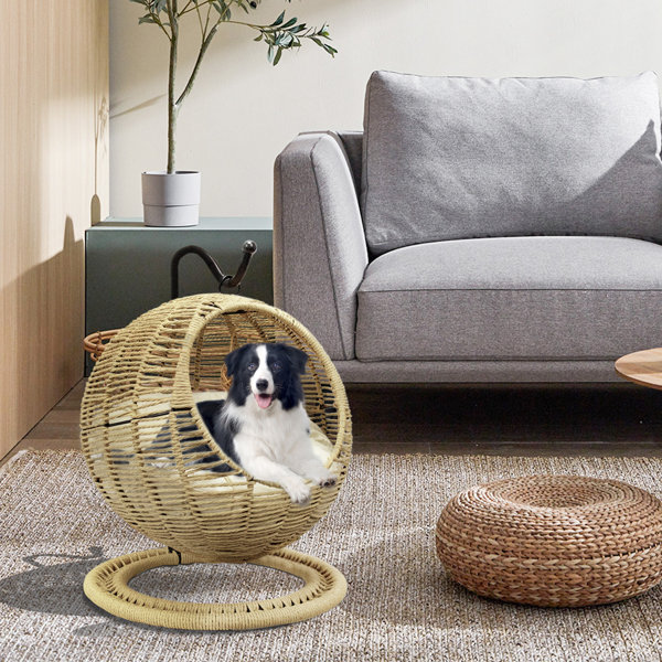 Tucker Murphy Pet™ Deiby Rattan Pet Swing Hut with Cushion & Reviews ...
