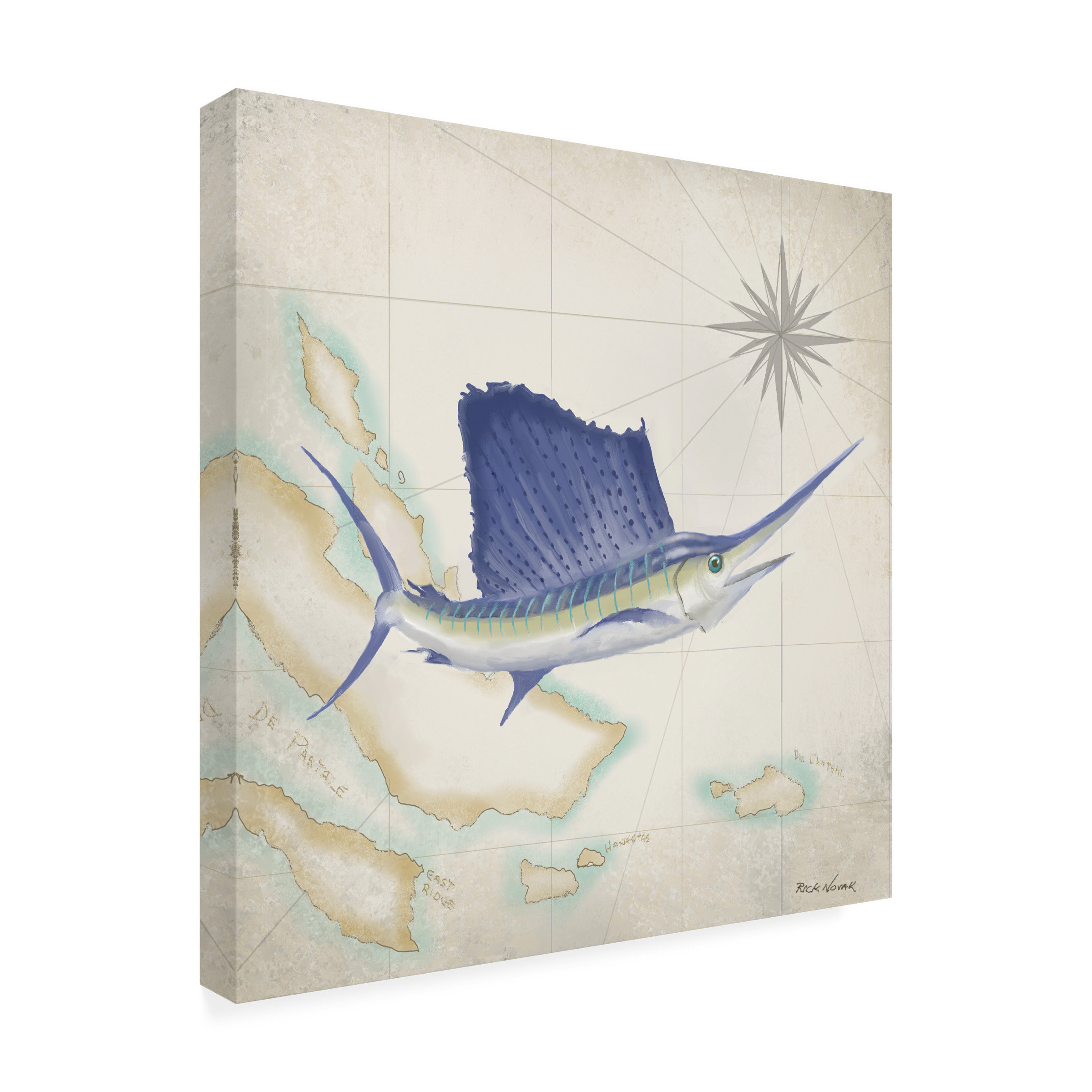 Trademark Fine Art Rick Novak 'Sailfish Map II' Canvas Art | Wayfair