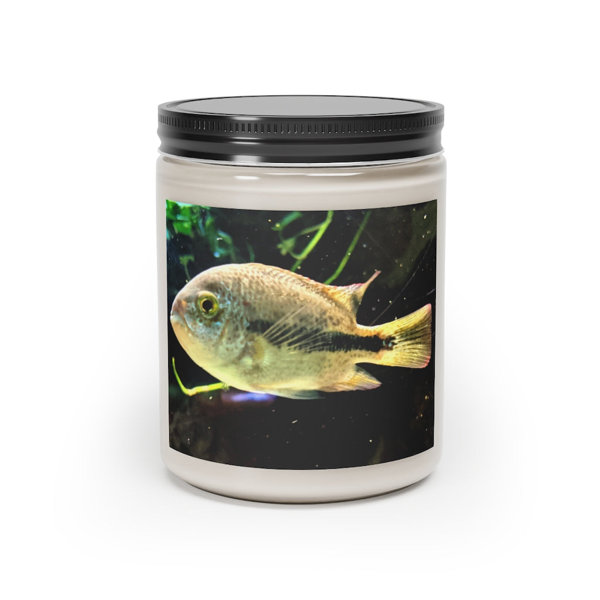 Bless international Fish Scented Candle, 9Oz | Wayfair