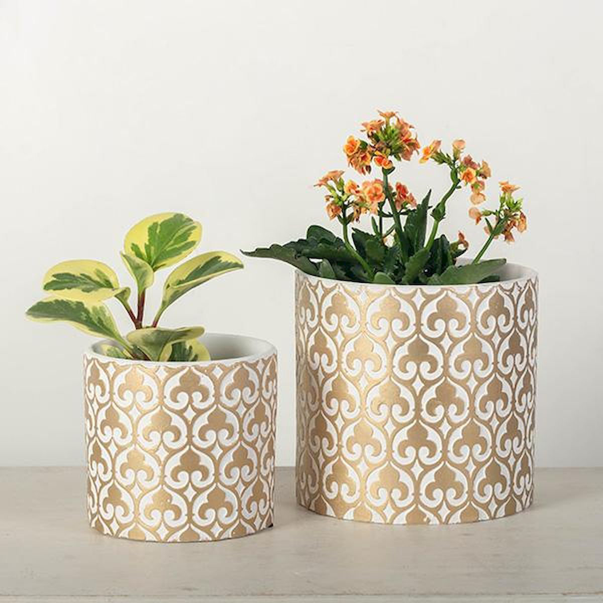 House of Hampton® 2 Piece Dimaina Cement Cachepot Set | Wayfair