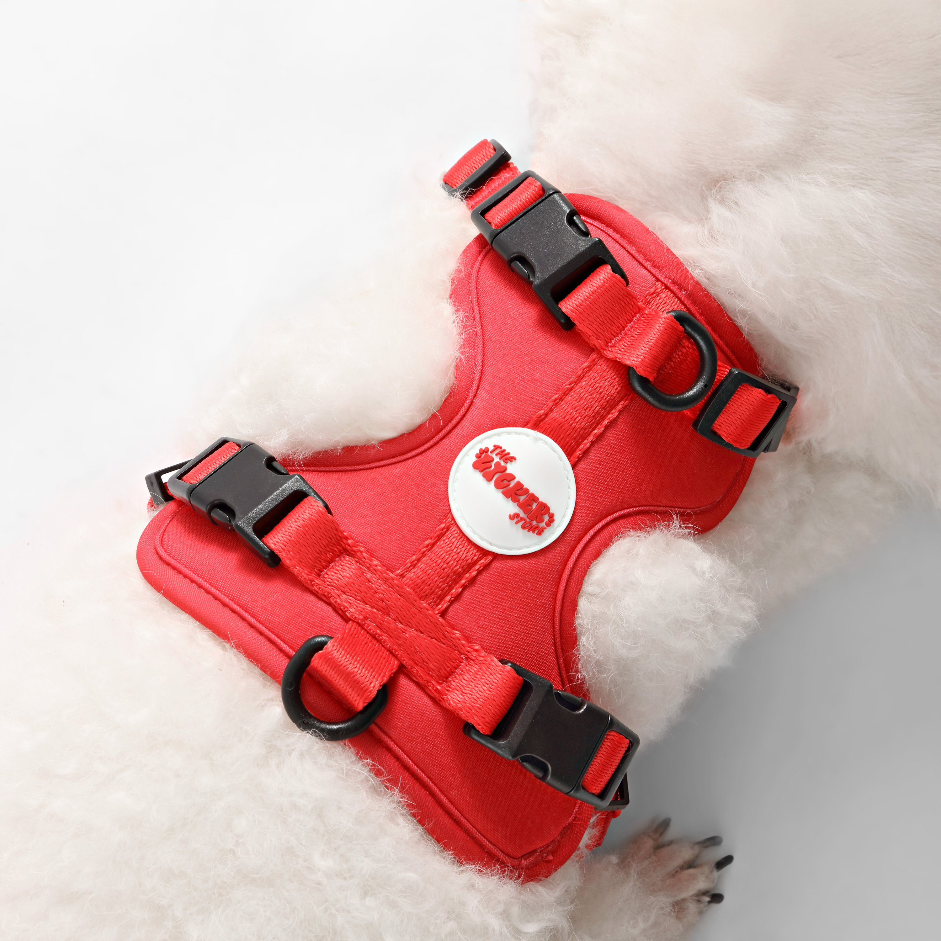 The Licker Store Arlo Adjustable Soft Padded No Pull Pet Harness with 3 ...