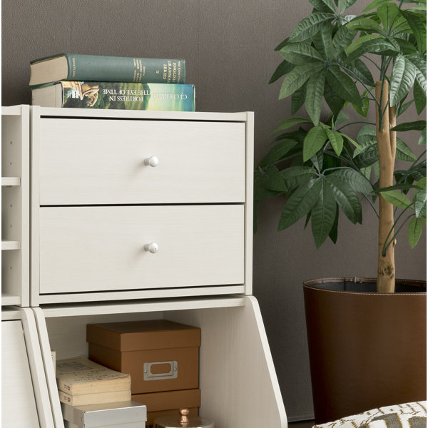 IRIS USA, Inc. Stackable 2 Drawer Storage Chest & Reviews | Wayfair