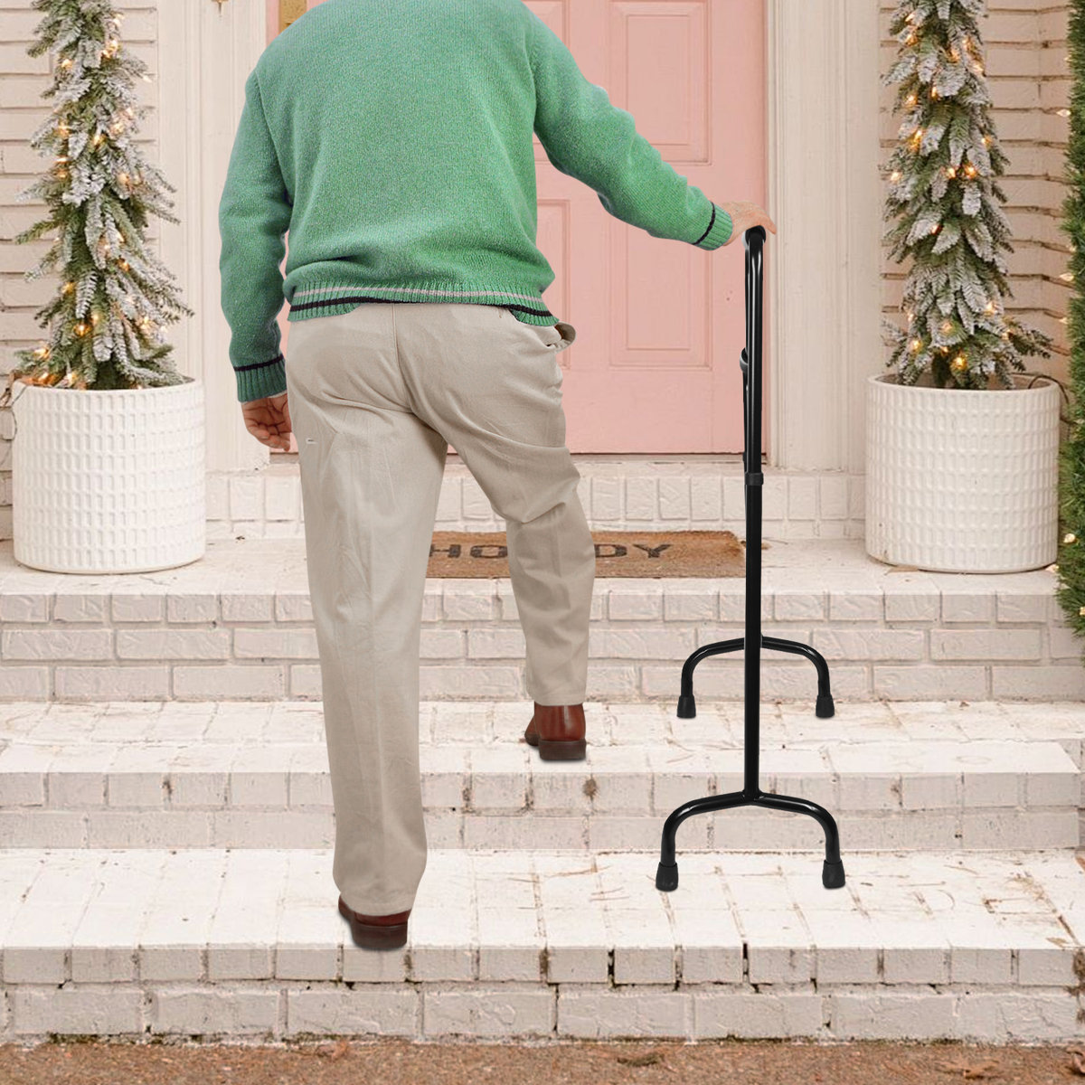 YYBUSHER Stair Climbing Assist Cane Elderly Stair Lift Assist Devices ...