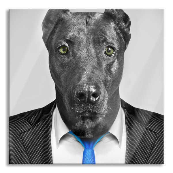 Happy Larry Labrador in a Suit - Unframed Photograph on Glass | Wayfair ...