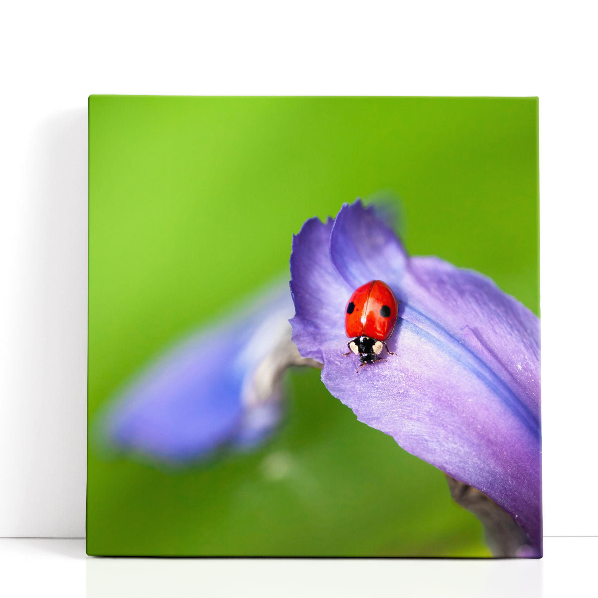 Ebern Designs Lady Bug on Flower Petal - Canvas Print Wall Art | Wayfair