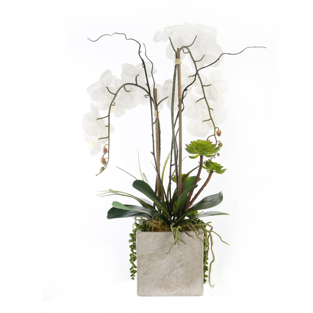 Jenny Silks Real Touch Orchid Floral Arrangement in Pot | Perigold