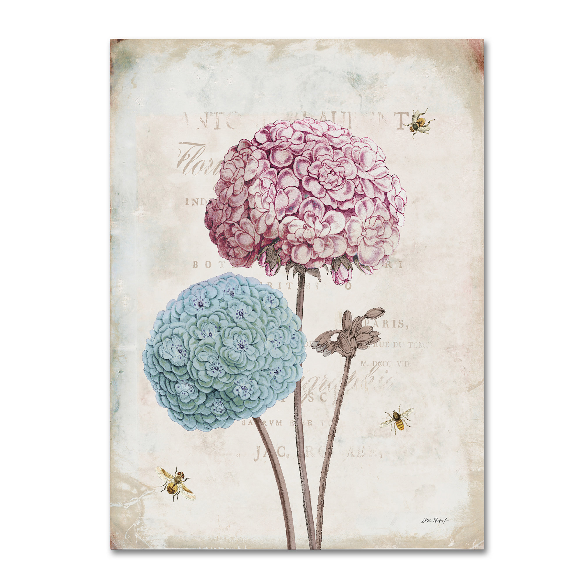 Charlton Home Geranium Study II Pink Flower by Katie Pertiet - Textual ...