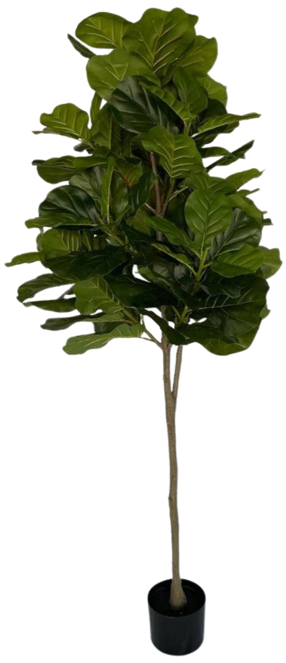 Primrue 6' Artificial Real Touch Fiddle Leaf Fig Tree in Plastic ...