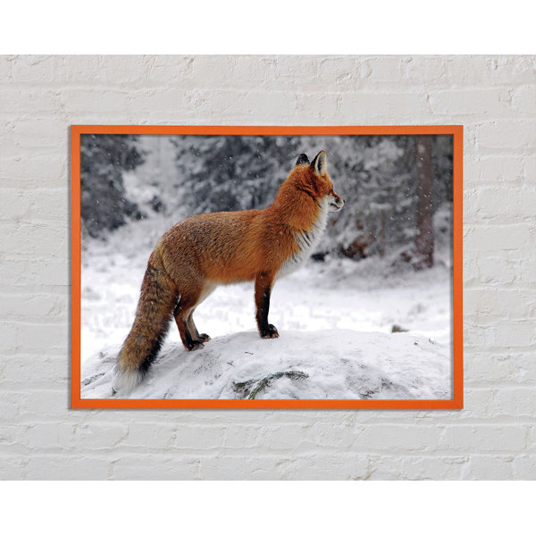 Union Rustic Raloo Winter Snow Fox - Single Picture Frame Print ...